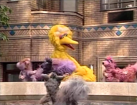 Episode 3415 | Muppet Wiki | FANDOM powered by Wikia