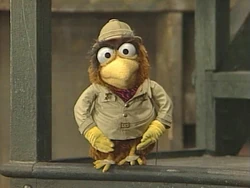 Episode 2329 | Muppet Wiki | Fandom