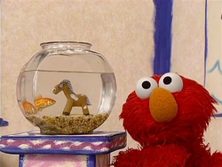 Elmo's World: Horses | Muppet Wiki | Fandom