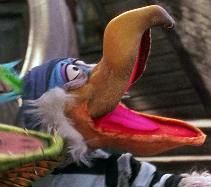 Image - Dodo pirate.jpg | Muppet Wiki | FANDOM powered by Wikia