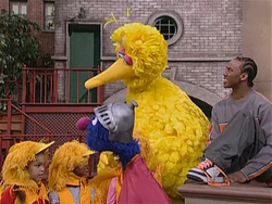 Episode 4105 | Muppet Wiki | Fandom