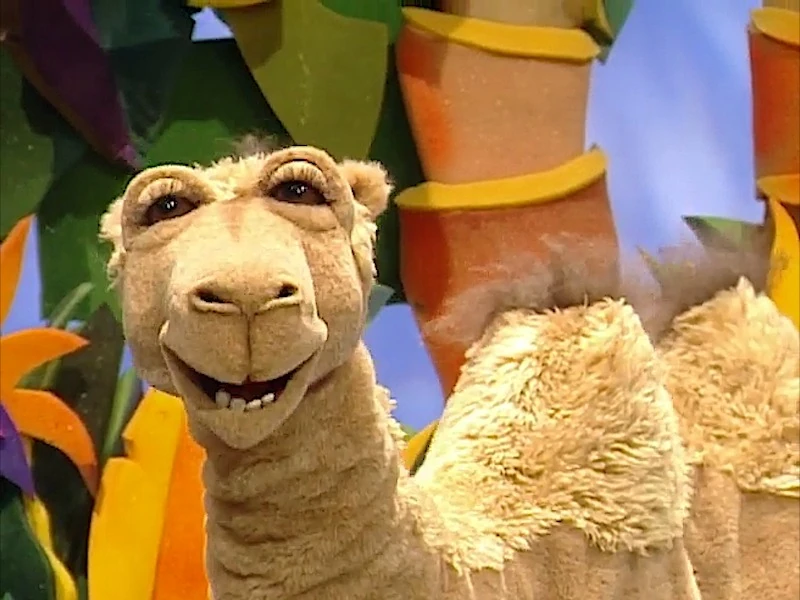 Doreen the Camel | Muppet Wiki | Fandom