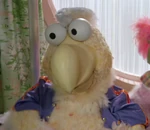 Dodos | Muppet Wiki | FANDOM powered by Wikia
