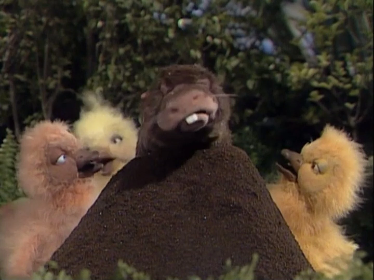 Mole (Mother Goose Stories) | Muppet Wiki | Fandom