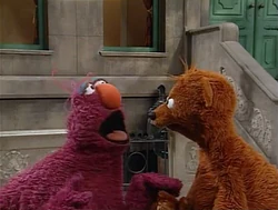 Episode 3798 | Muppet Wiki | FANDOM powered by Wikia