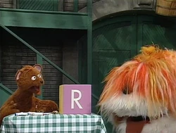 Episode 3848 | Muppet Wiki | Fandom