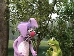 Episode 3169 | Muppet Wiki | Fandom