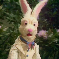 Rabbits | Muppet Wiki | Fandom