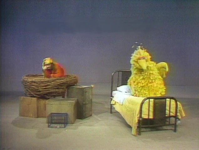 Big Bird Sketches: Miscellaneous | Muppet Wiki | FANDOM powered by Wikia