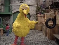Episode 3656 | Muppet Wiki | Fandom