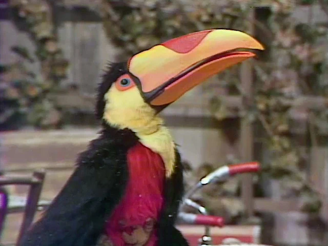 Toucan | Muppet Wiki | Fandom