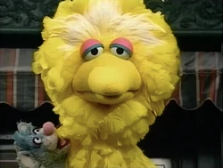 Episode 3445 | Muppet Wiki | FANDOM powered by Wikia