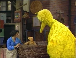 Episode 2007 | Muppet Wiki | Fandom