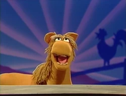 Episode 2775 | Muppet Wiki | Fandom