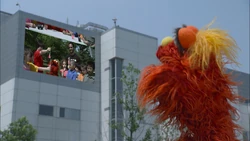 Episode 4257 | Muppet Wiki | FANDOM powered by Wikia