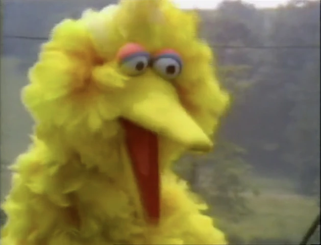 Sandbox:Sesame Street openings/Muppets on location | Muppet Wiki | Fandom