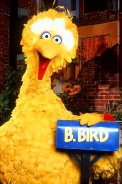 Big Bird Through the Years | Muppet Wiki | FANDOM powered by Wikia