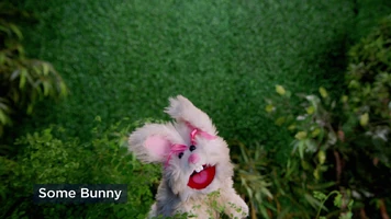 Rabbits | Muppet Wiki | Fandom