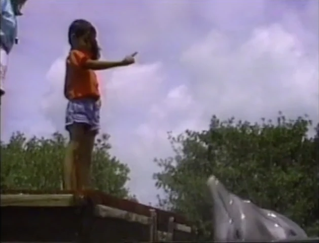 Episode 3652 | Muppet Wiki | Fandom