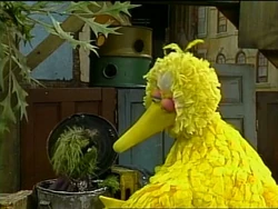 Episode 1875 | Muppet Wiki | Fandom