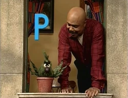 Episode 3971 | Muppet Wiki | Fandom