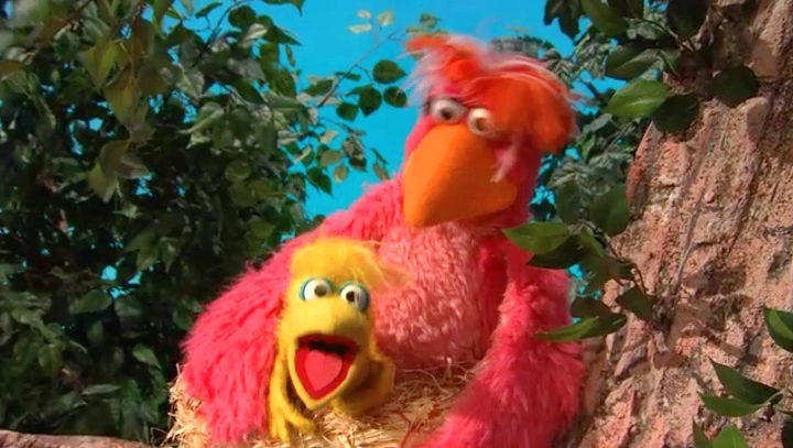 The Bird Family | Muppet Wiki | FANDOM powered by Wikia