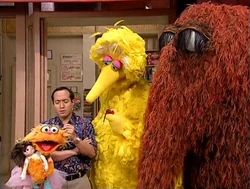 Episode 4005 | Muppet Wiki | Fandom