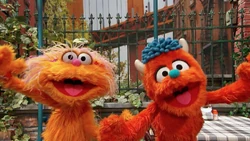 Episode 4904 | Muppet Wiki | Fandom