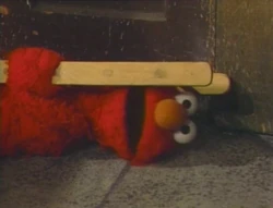 Episode 2984 | Muppet Wiki | Fandom