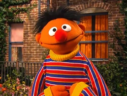 Ernie Through the Years | Muppet Wiki | FANDOM powered by Wikia