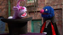 Episode 4906 | Muppet Wiki | FANDOM powered by Wikia