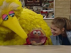 Episode 3918 | Muppet Wiki | FANDOM powered by Wikia