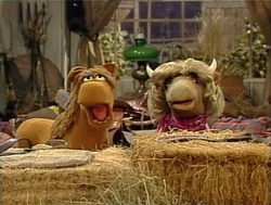 Episode 2775 | Muppet Wiki | Fandom