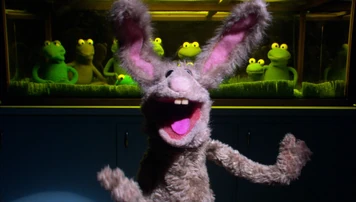 Rabbits | Muppet Wiki | Fandom