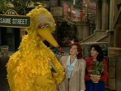Episode 2381 | Muppet Wiki | Fandom