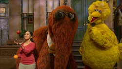 Episode 4171 | Muppet Wiki | FANDOM powered by Wikia