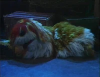 Sleepytime on Sesame Street (song) | Muppet Wiki | FANDOM powered by Wikia