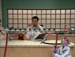 Episode 3697 | Muppet Wiki | FANDOM powered by Wikia