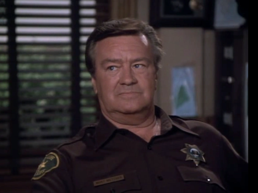 Mort Metzger | The Murder, She Wrote Wiki | Fandom
