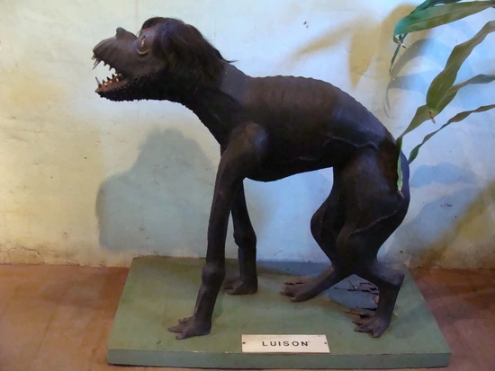 Luison | Wiki My Bestiario | FANDOM powered by Wikia