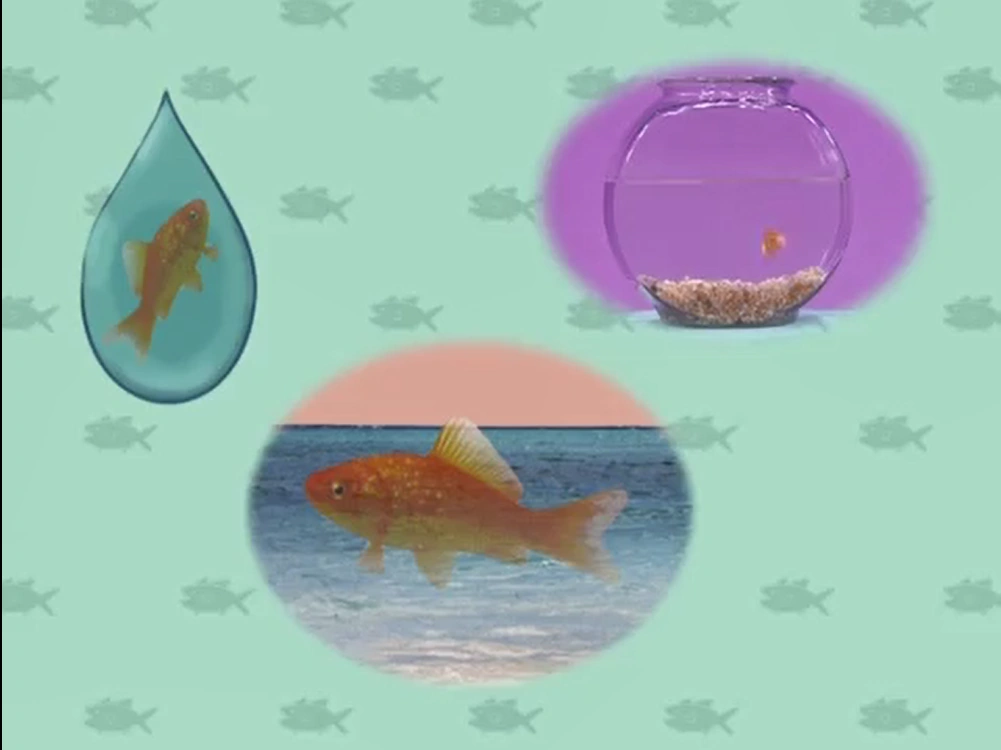 Elmo's World: Fish | My scratchpad Wiki | Fandom