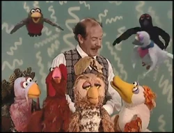 Elmo's World: Birds | My scratchpad Wiki | Fandom