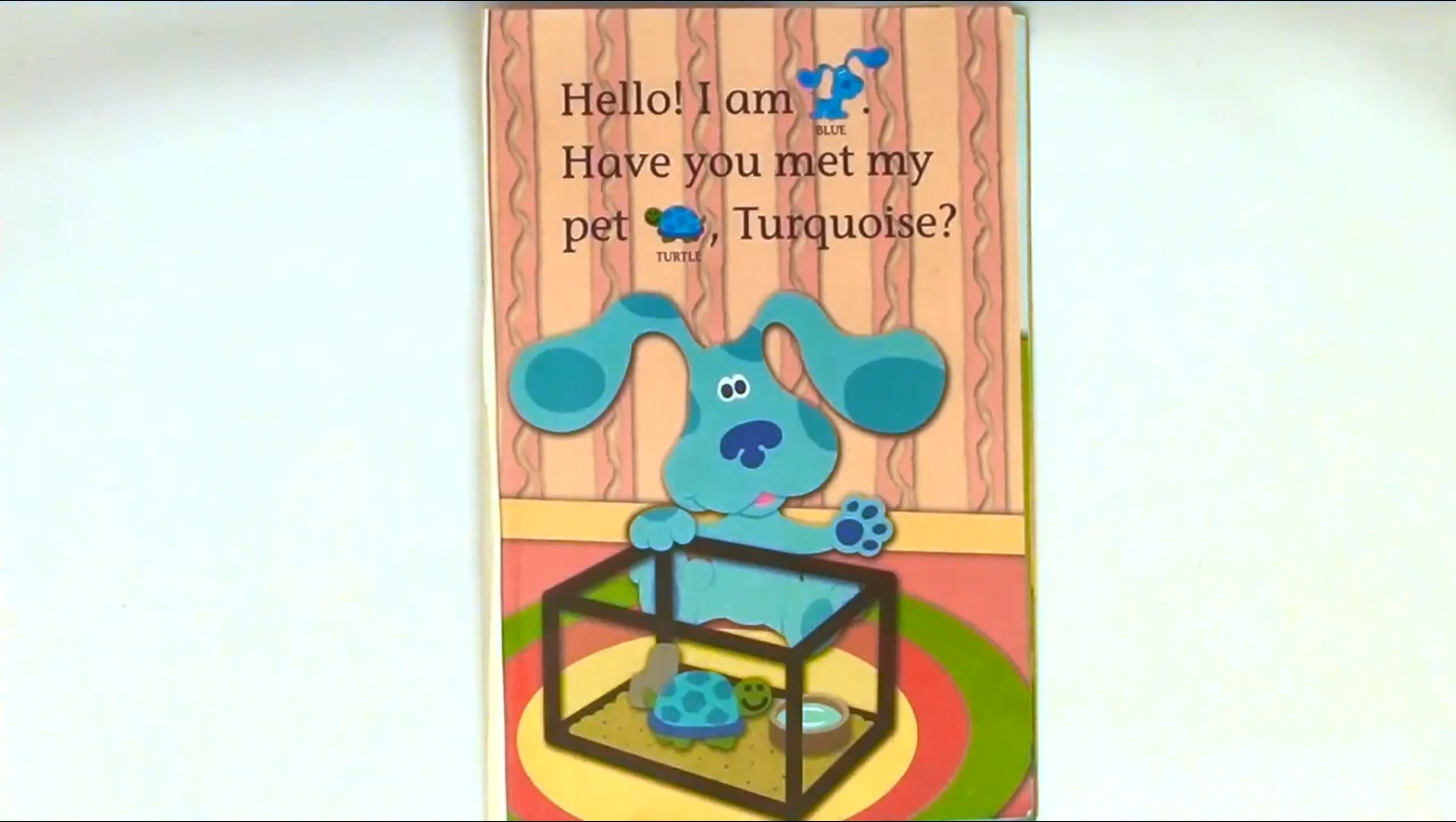 My Pet Turtle/Gallery | My scratchpad Wiki | Fandom