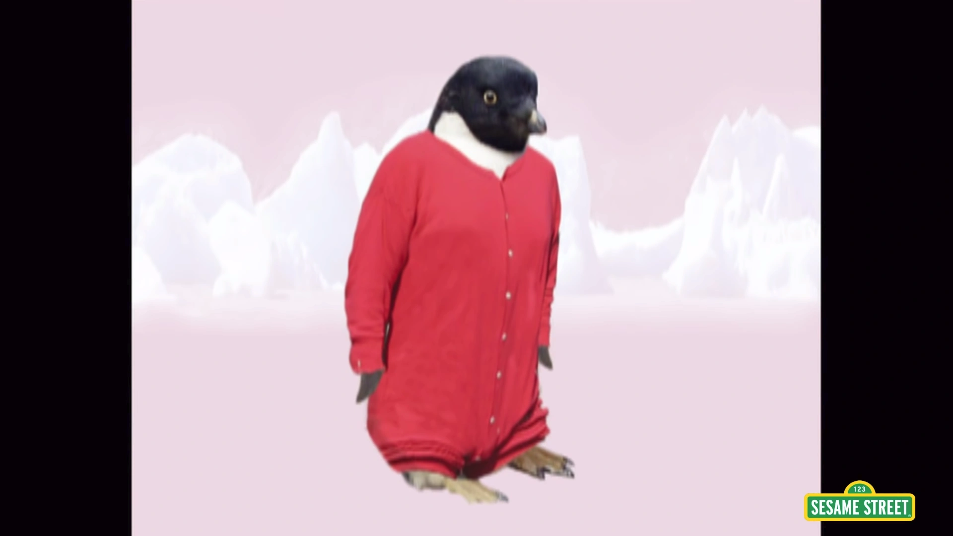 Elmo's World: Penguins and Friends (2011) | My scratchpad Wiki | Fandom