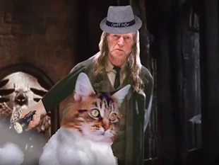 Mr. Norris and Filch the cat | My Immortal Wiki | Fandom