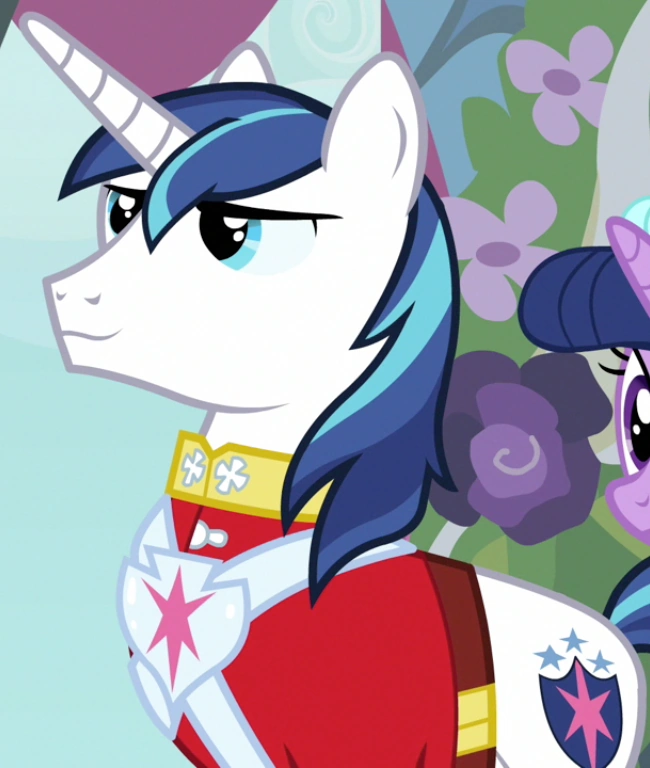 Shining Armor | MyLittleBrony Wiki | FANDOM powered by Wikia