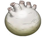 Rootitoot | My Singing Monsters Wiki | FANDOM powered by Wikia