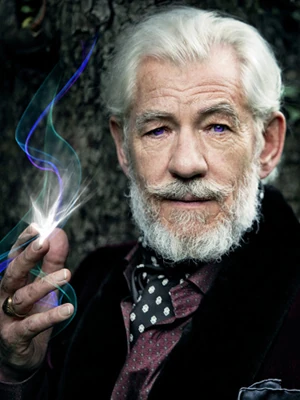 Myrddin Wyllt | At the Crossroads MUX Wiki | Fandom