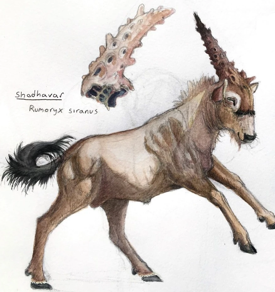 Shadhavar | Mythical Menagerie Wiki | Fandom