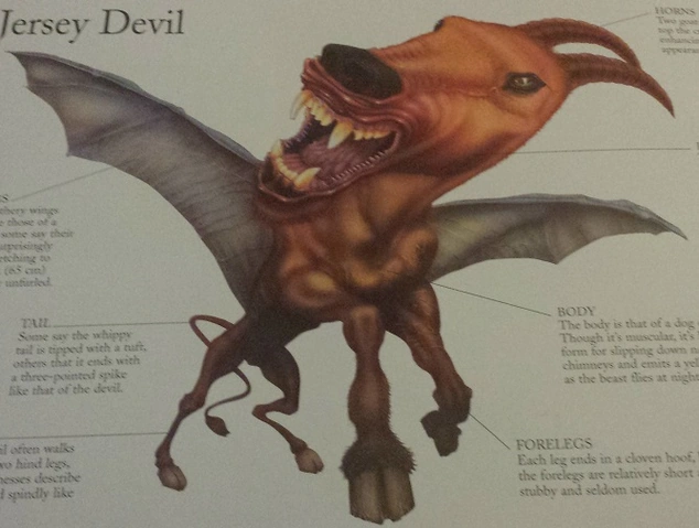 Jersey Devil | Mythology wiki | Fandom